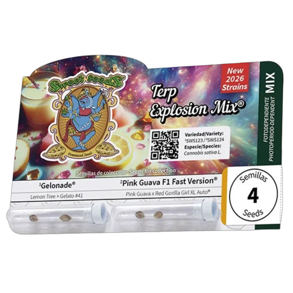 Terp Explosion Mix semillas feminizadas (2+2) | Sweet Seeds | Saltón Verde